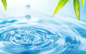 ¿El agua o la agua? (Spanish Grammar) | Quorum Spain